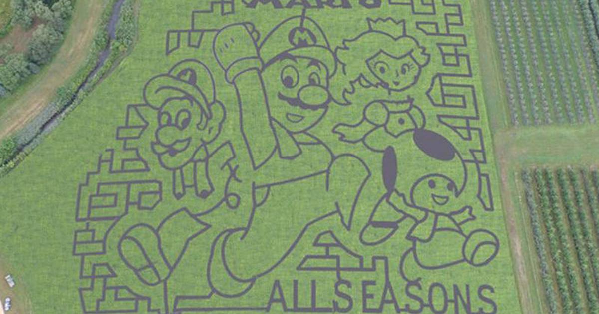 Super Mario-themed corn maze open at Woodstock's All Seasons – Shaw Local