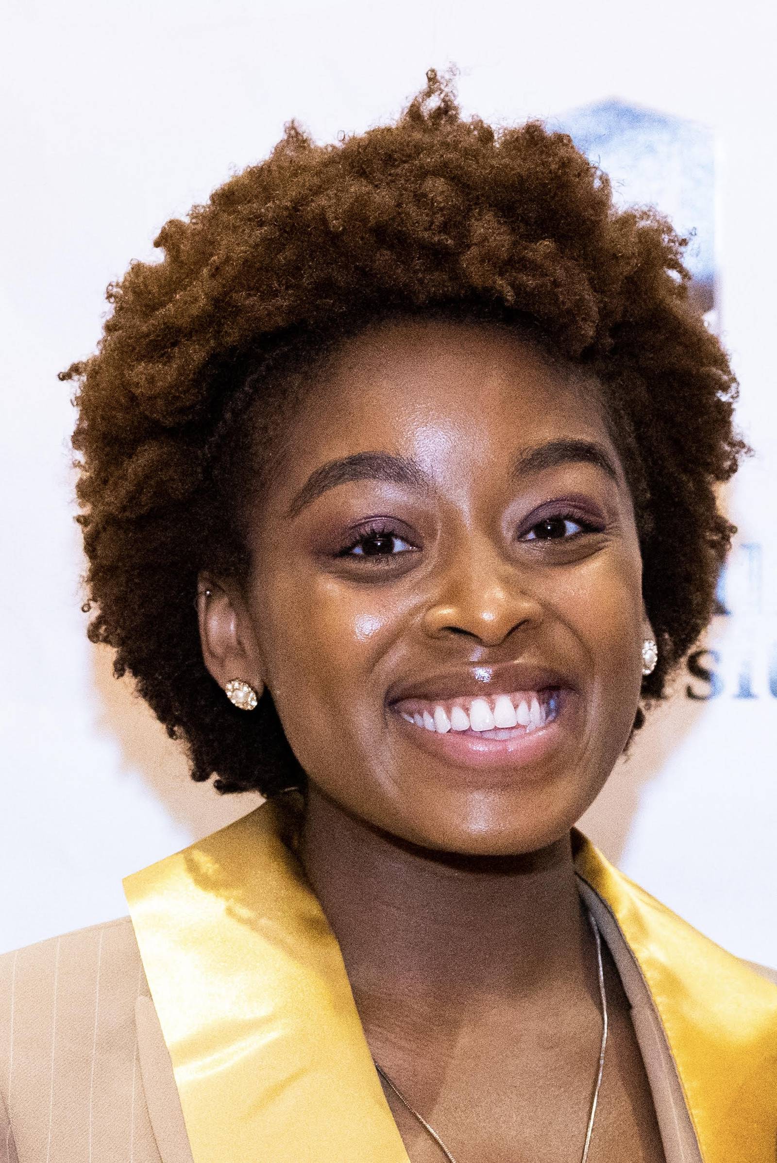 Learn about history through artwork at next Ellwood House event in ...