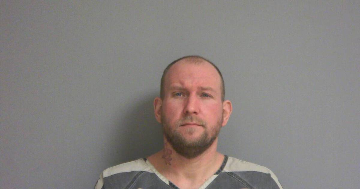 Ransom man gets 18 months for attacking dog – Shaw Local