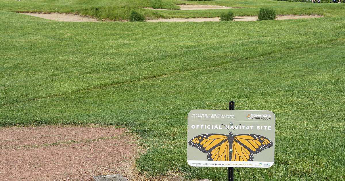 3-hole golf course at Carillon Lakes in Crest Hill get ‘Monarch ...