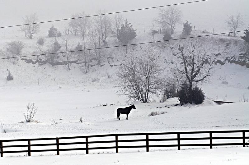 White Pines Ranch – Shaw Local