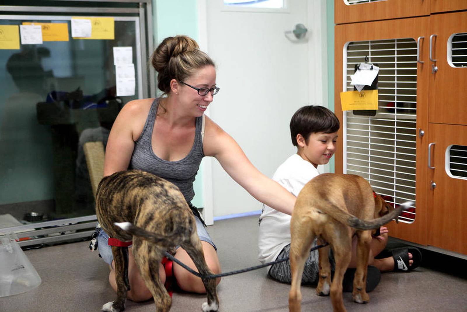 Anderson Humane to host animal adoption event Saturday in St. Charles ...