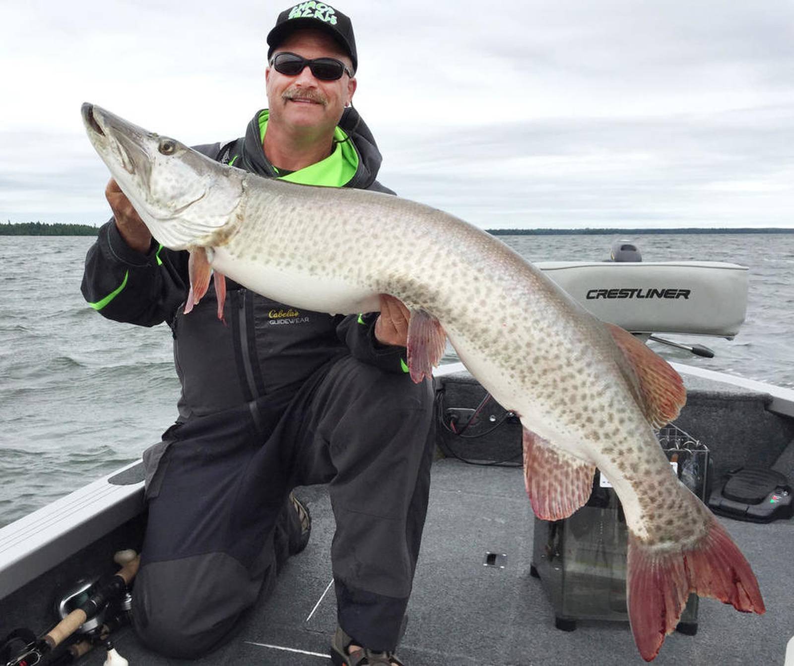 Steve Sarley: McHenry's Rick Albers sees Chaos Tackle grow – Shaw Local