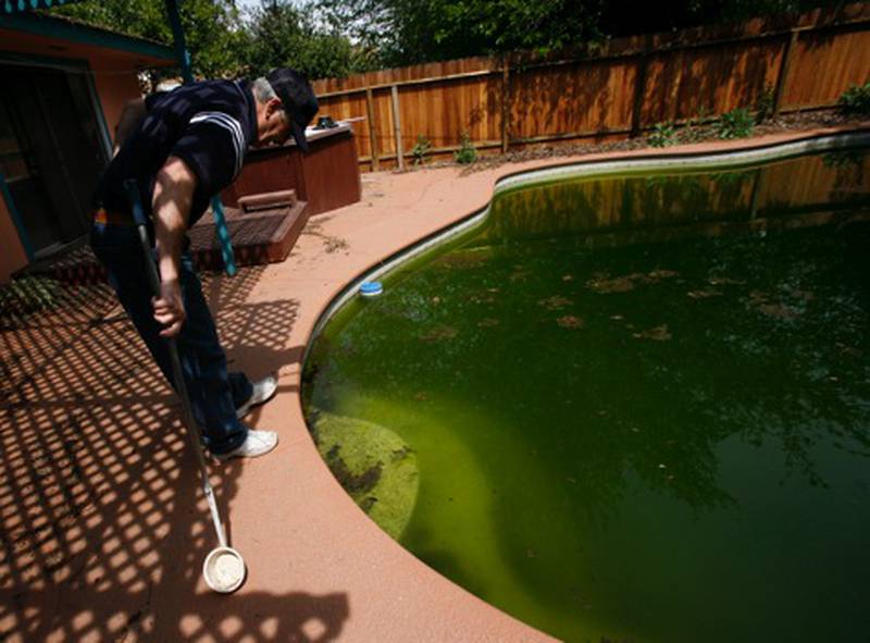 Abandoned pools breeding grounds for mosquitoes – Shaw Local