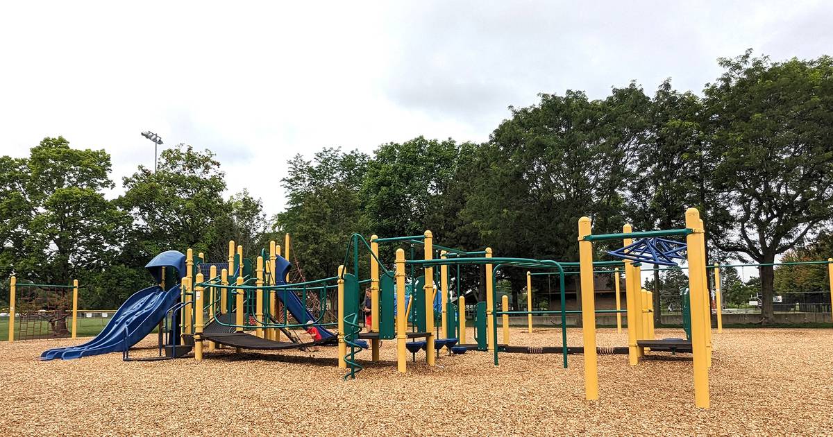 Grant to help add amenities at McCollum Park in Downers Grove – Shaw Local