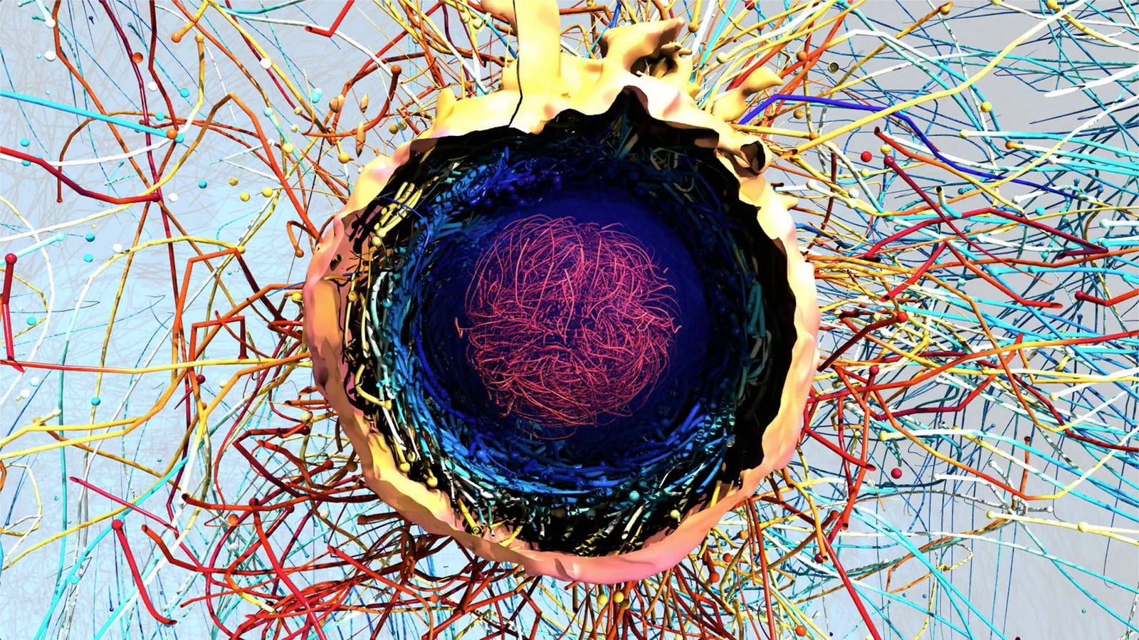 NIU STEM Café to explore why data visualization matters – Shaw Local