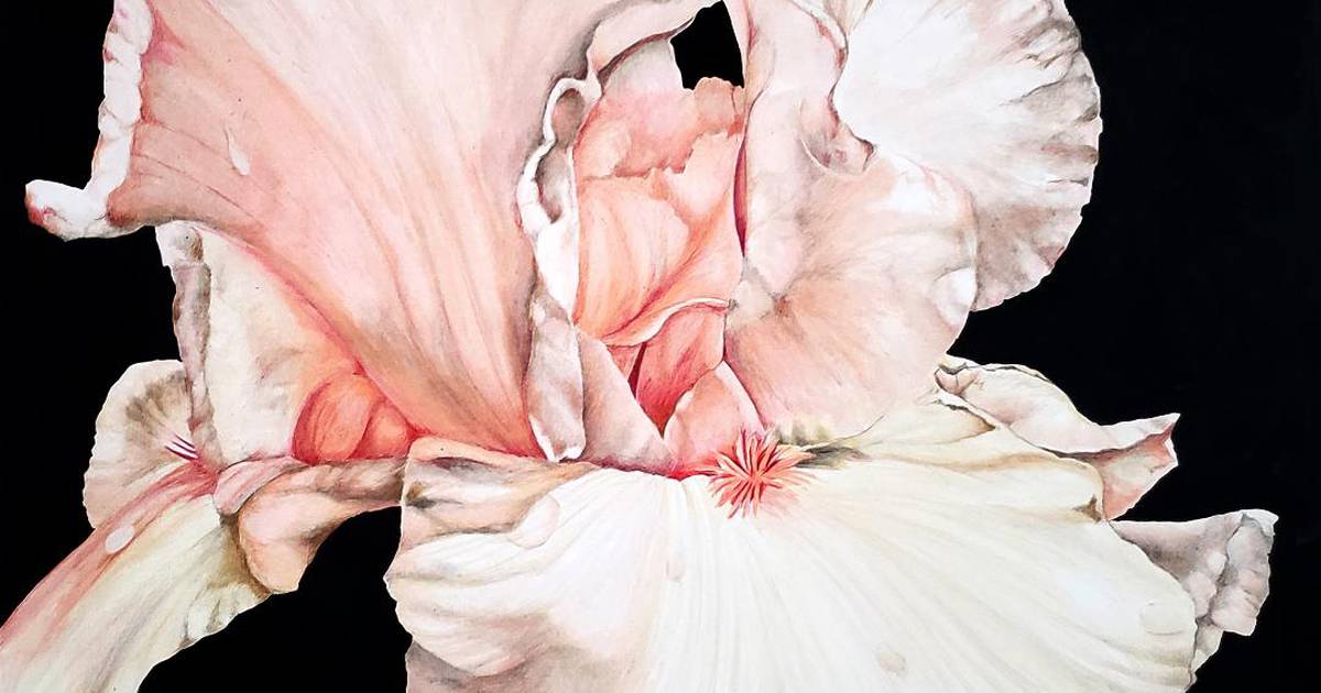 Blue Moon Gallery launches new art season – Shaw Local