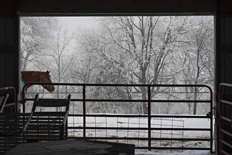 White Pines Ranch – Shaw Local