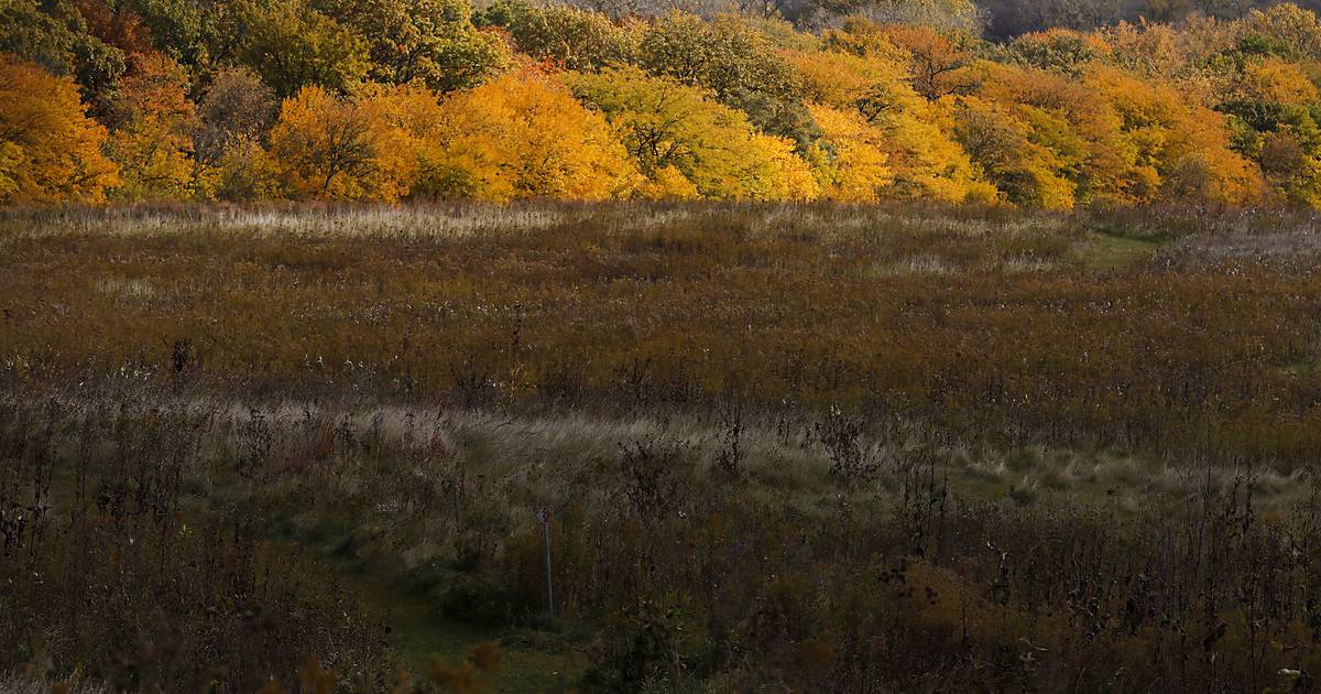 McHenry County Conservation District seeking conservation award ...