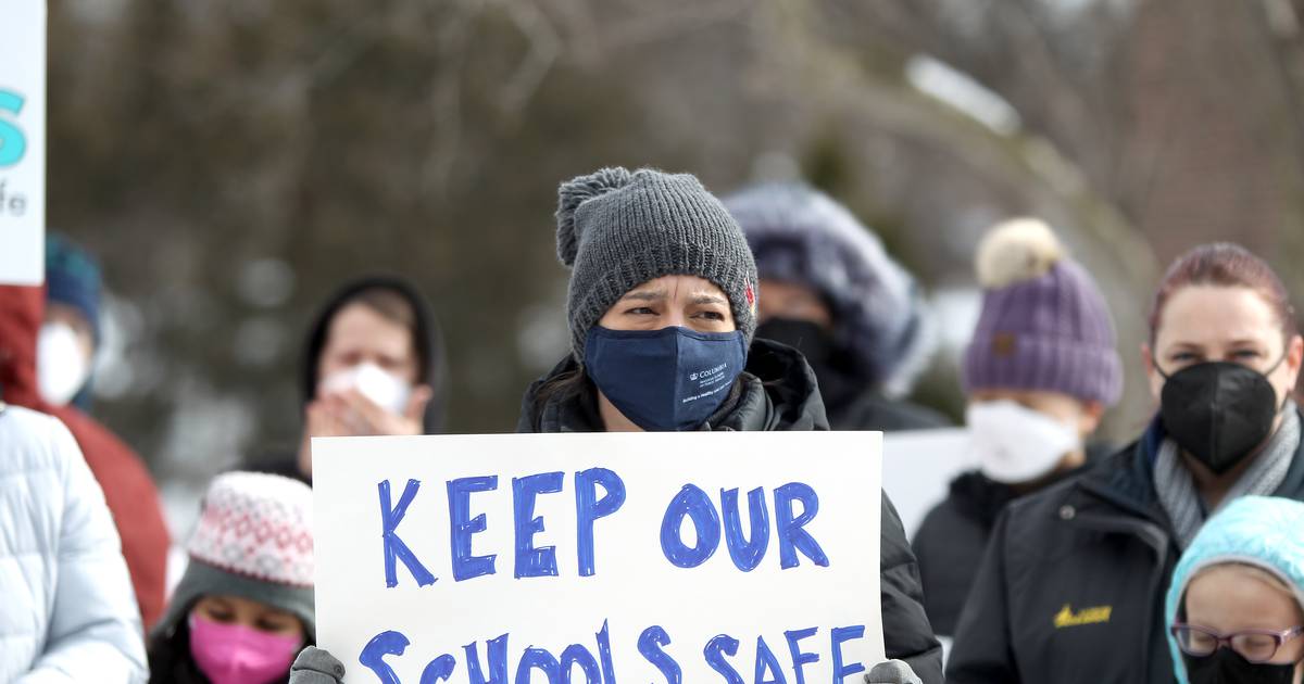 Who is Sangamon County Judge Raylene DeWitte Grischow, who blocked ...