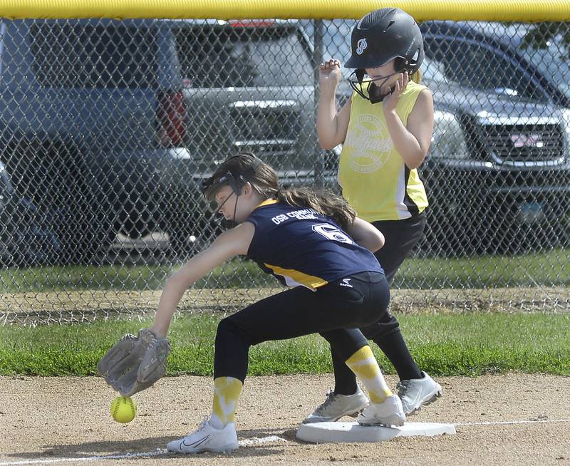 Softball: Wolf Pack top Stars for OGFA 11U city championship – Shaw Local