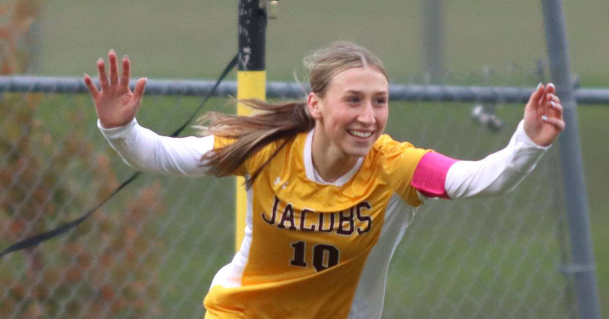 McHenry County-area girls soccer players, coaches earn 2025 IHSSCA ...