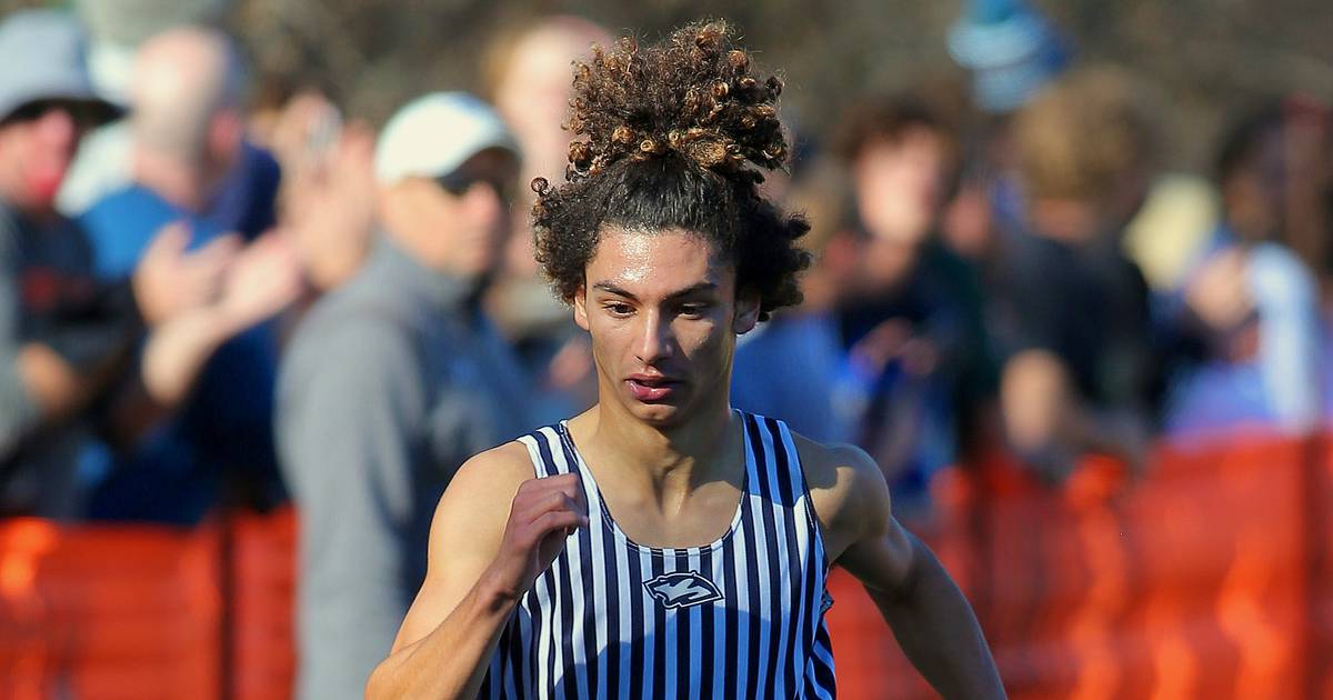 Plainfield South’s Camyn Viger cross country state runner-up: Herald ...