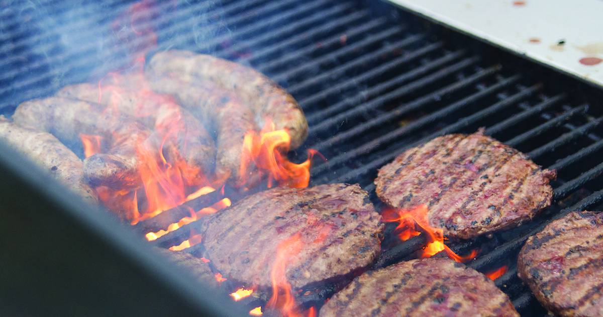 La Salle County Democrats to host annual barbecue July 20 at Buffalo ...