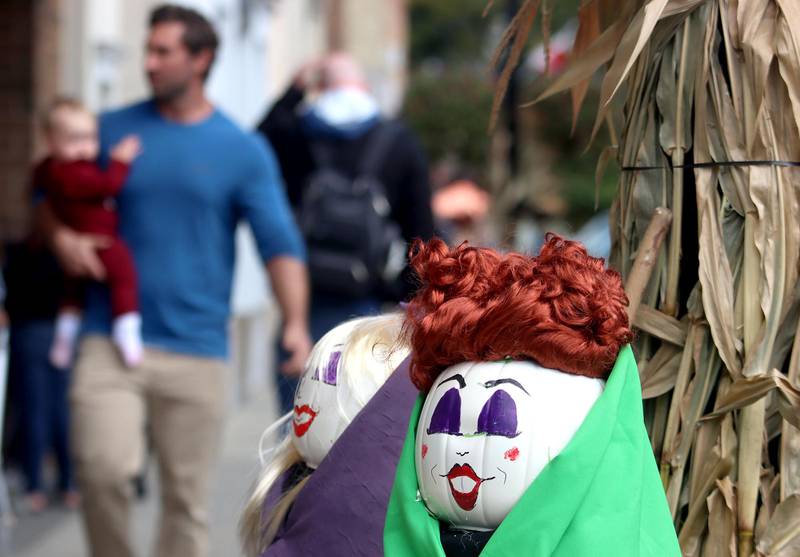 Photos: Johnny Appleseed Festival returns to downtown Crystal Lake ...