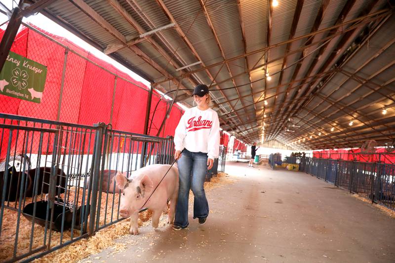 Photos: Rain doesn't damper opening day of the Kane County Fair – Shaw ...