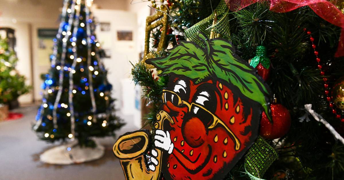 46th annual Gallery of Trees begins – Shaw Local