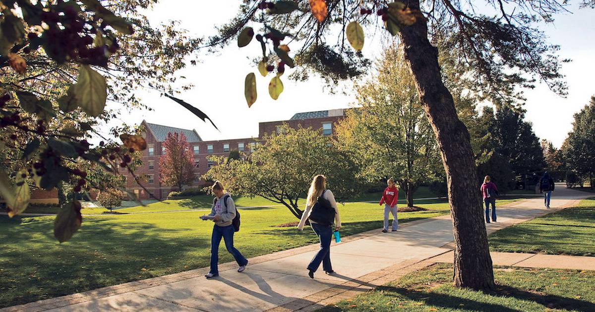 Lewis University students part of police mental health initiative ...