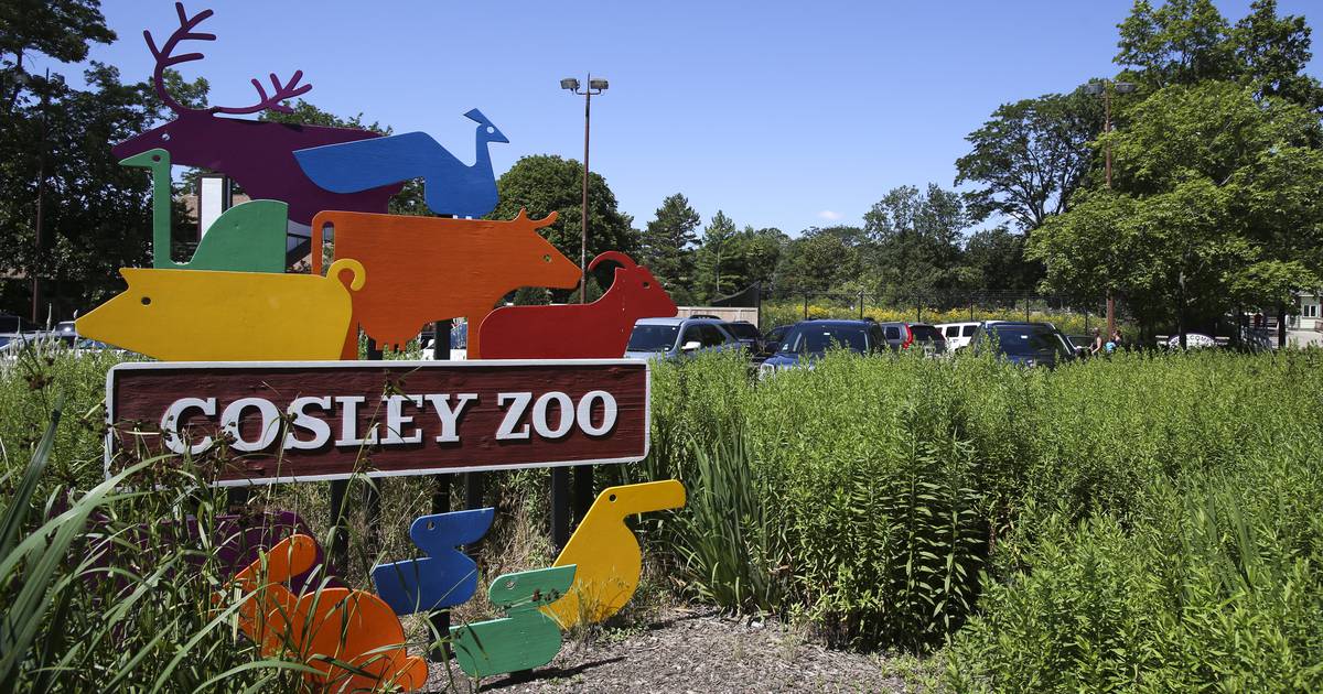 Wheaton’s Cosley Zoo marks 50 years – Shaw Local