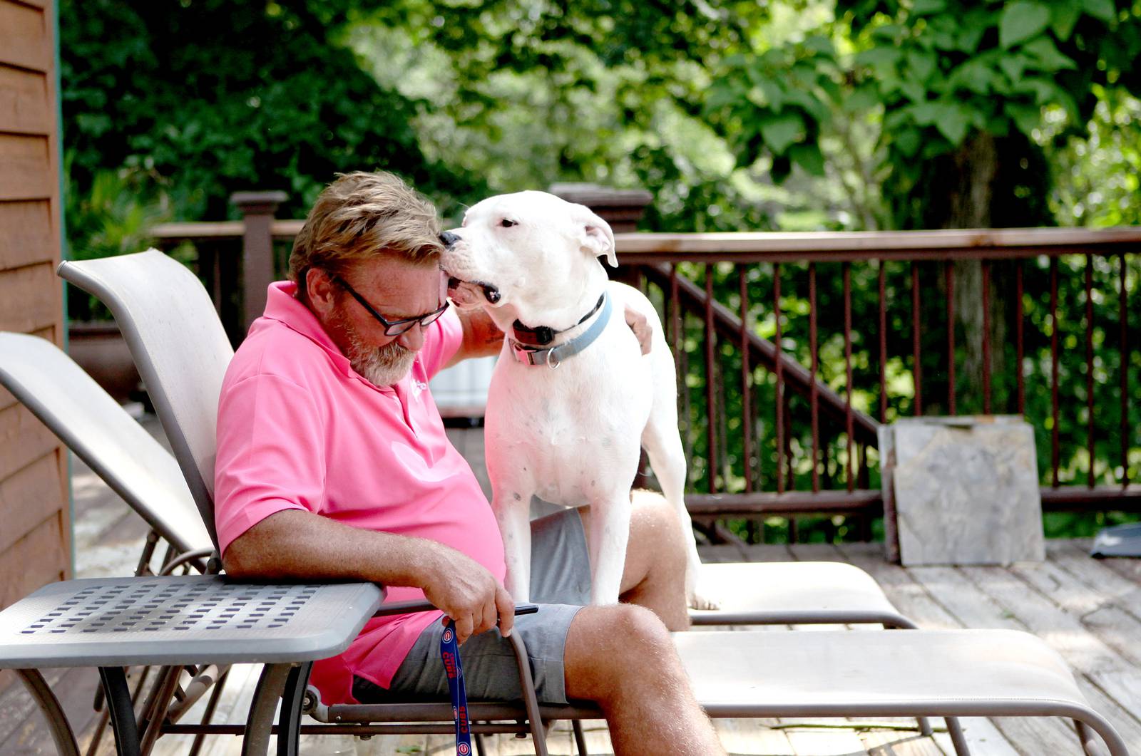 Kane judge to decide future of lawsuit over shooting death of Wayne dog ...