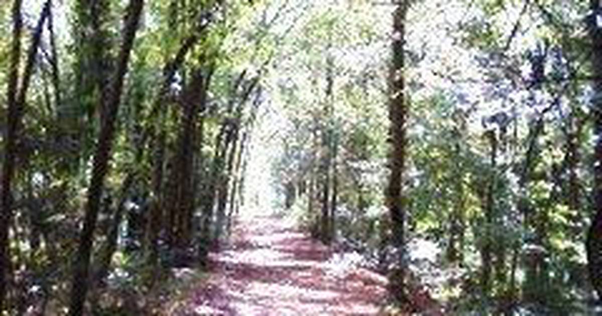 Midewin National Tallgrass Prairie offers safety tips for this hunting ...