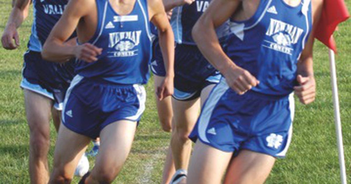 Comets crowned: Newman sweeps top spots in Three Rivers – Shaw Local