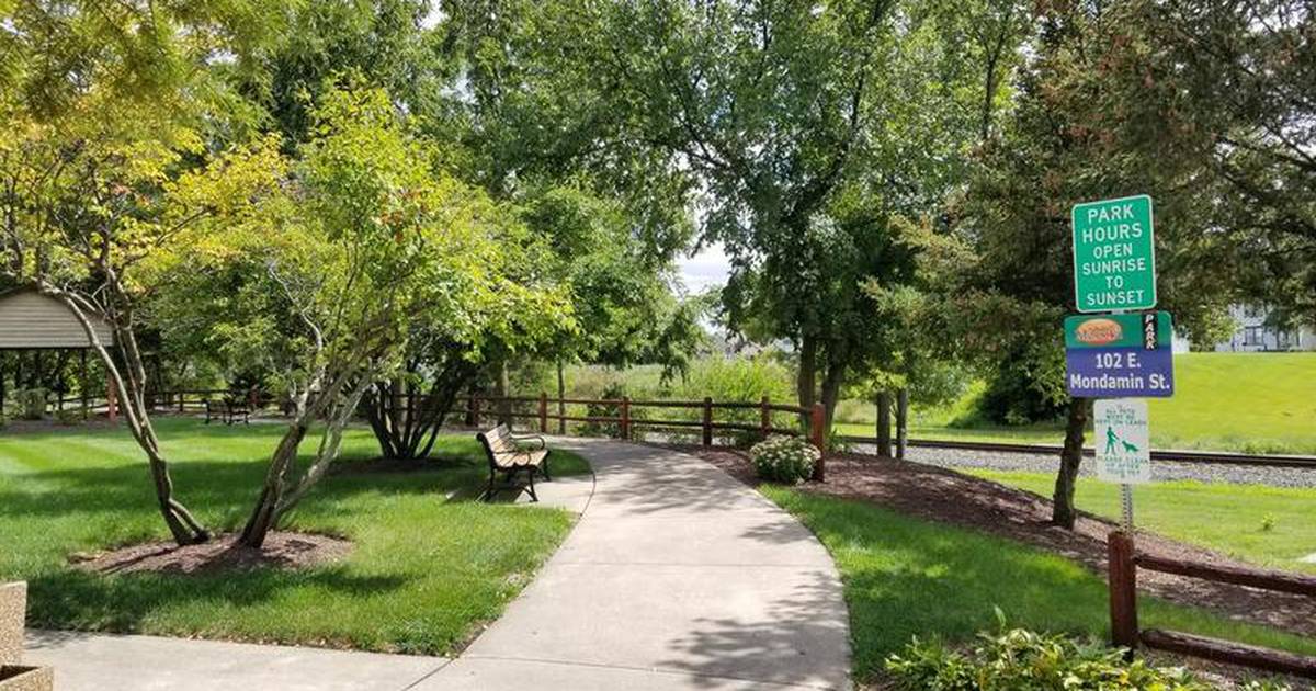 Minooka forestry commission will look at trees as infrastructure – Shaw ...