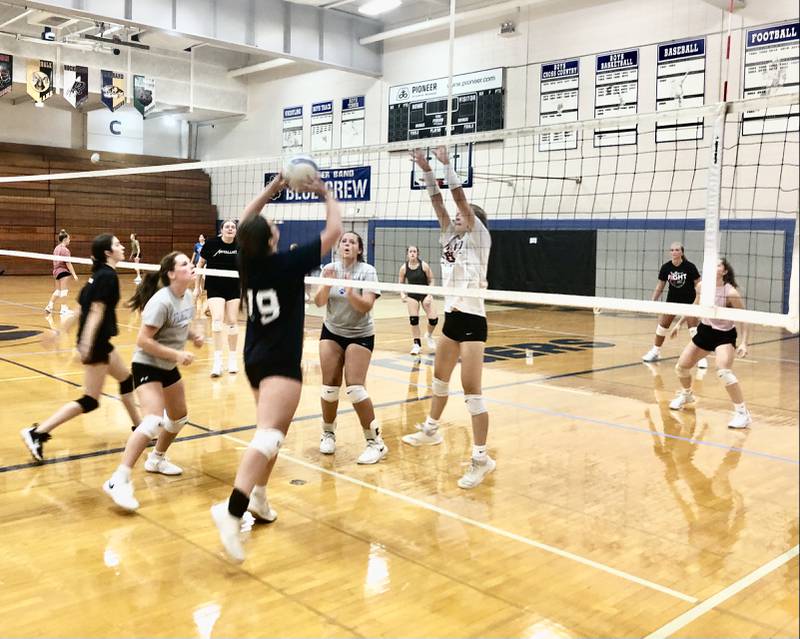 Photos: Princeton volleyball practice – Shaw Local