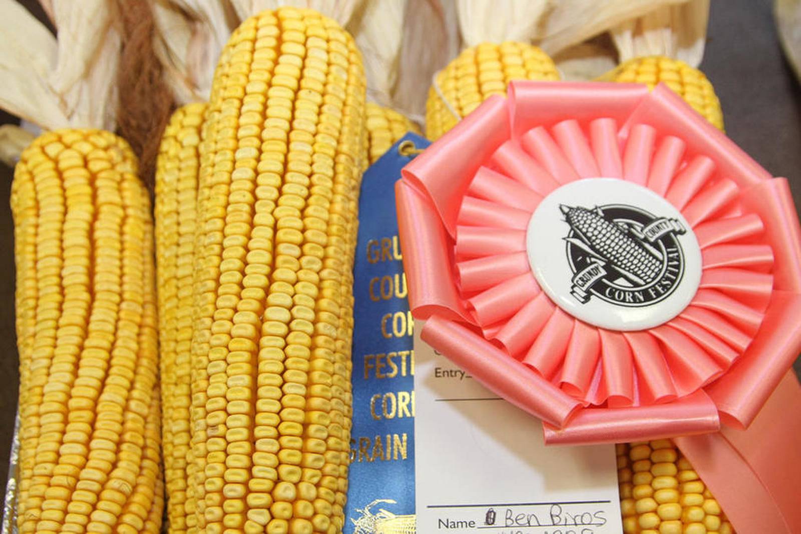 Grundy County Corn Festival Corn, Grain and Flower Show begins October ...