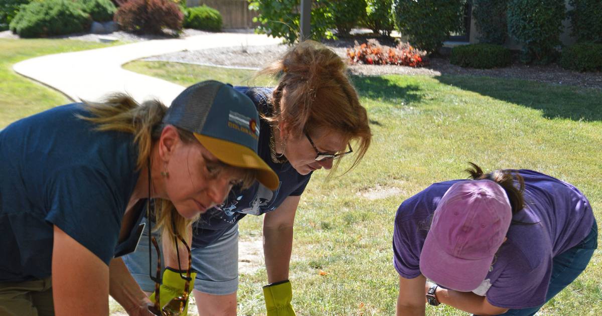 IVCC to host One Book One College activities – Shaw Local