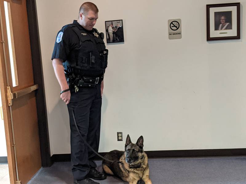 Sandwich’s first police dog being retired because of health problems ...