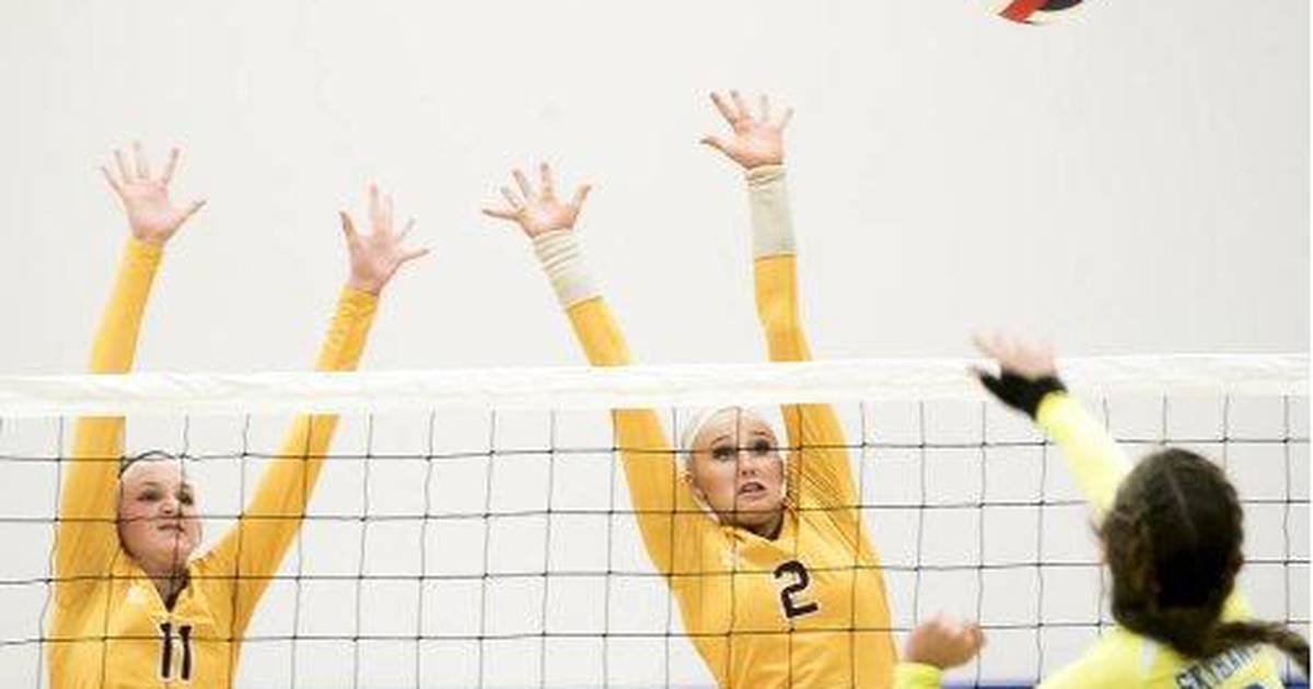High school girls volleyball: Richmond-Burton's Addie Halverson commits ...