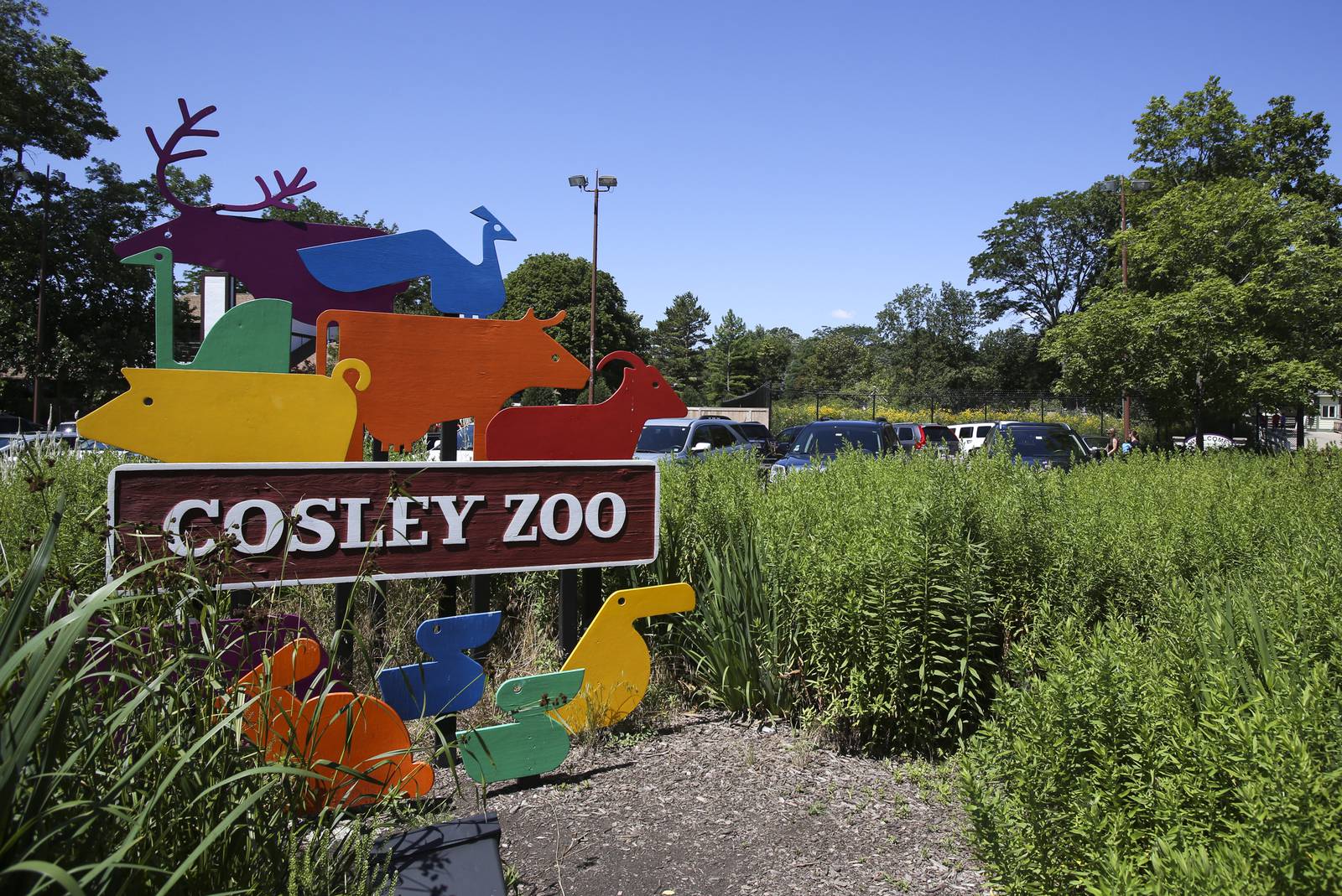 Despite strong opposition, Cosley Zoo parking plan moves a step closer ...