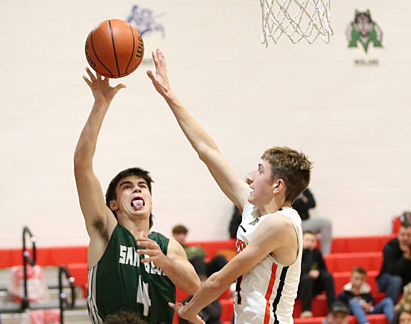 Photos: Flanagan-Cornell vs St. Bede boys basketball in the Route 17 ...
