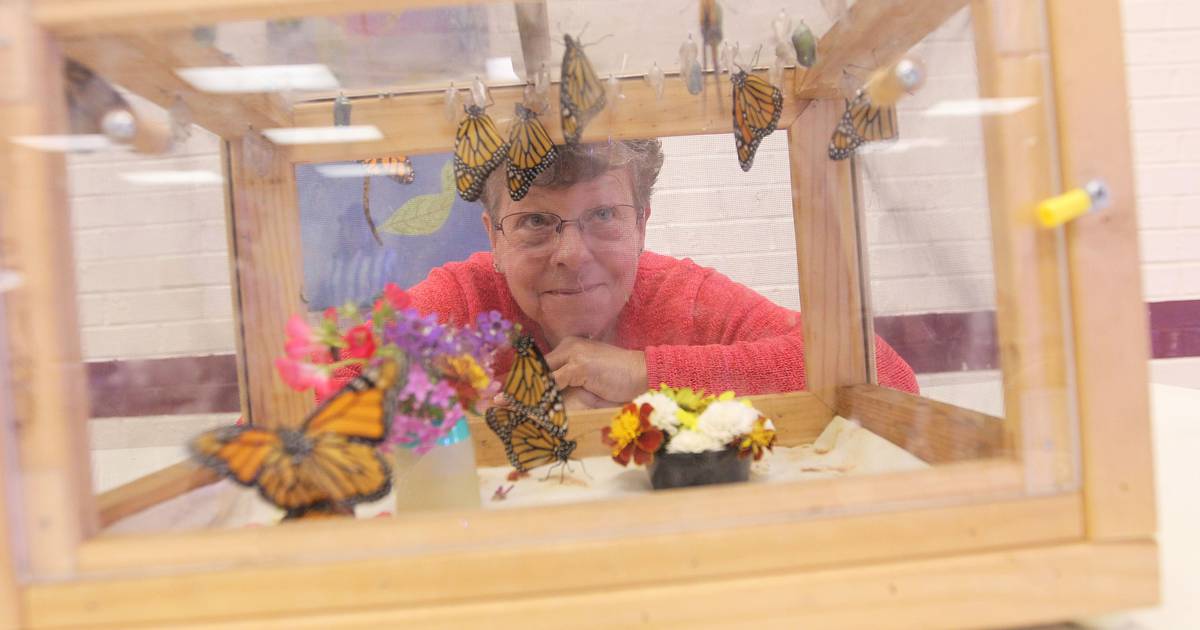 Live 4 Life hosts ninth annual Day of Hope – Shaw Local