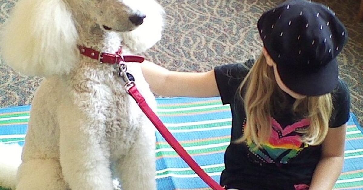 Yorkville Public Library highlighted in ‘Late Show With Stephen Colbert ...