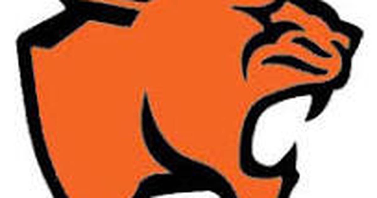 Gardner-South Wilmington boys basketball outlasts Herscher in double OT ...