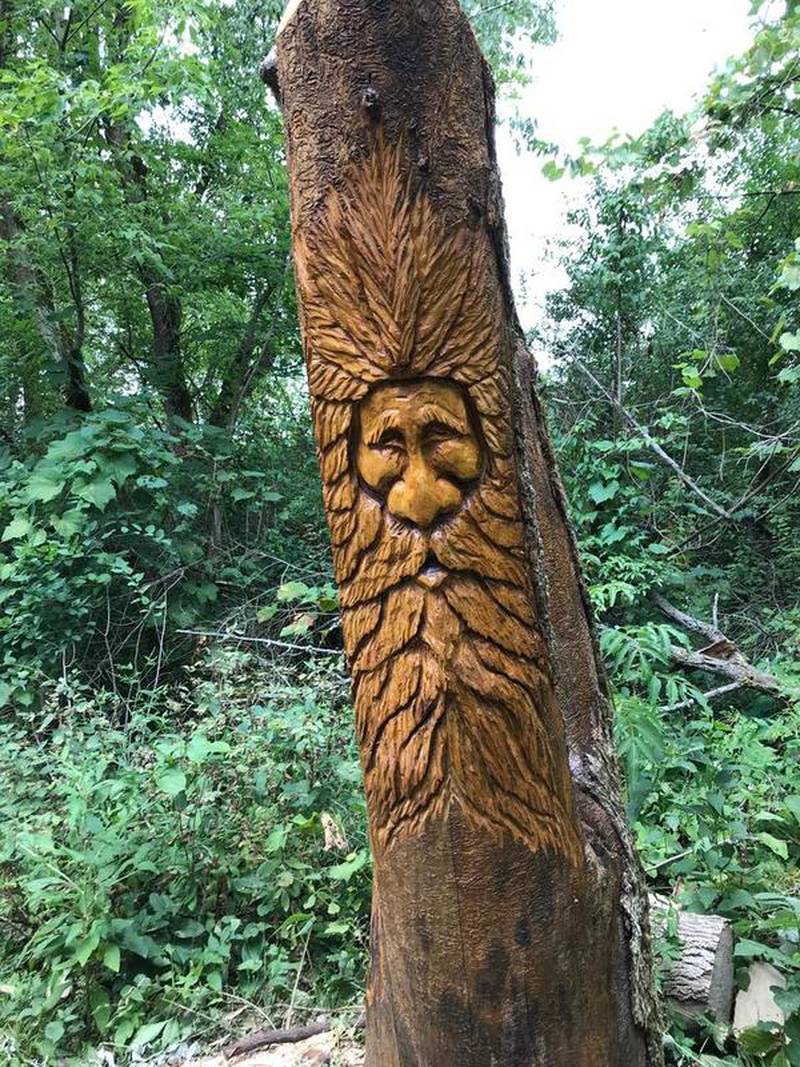 Turning dead trees into art – Shaw Local