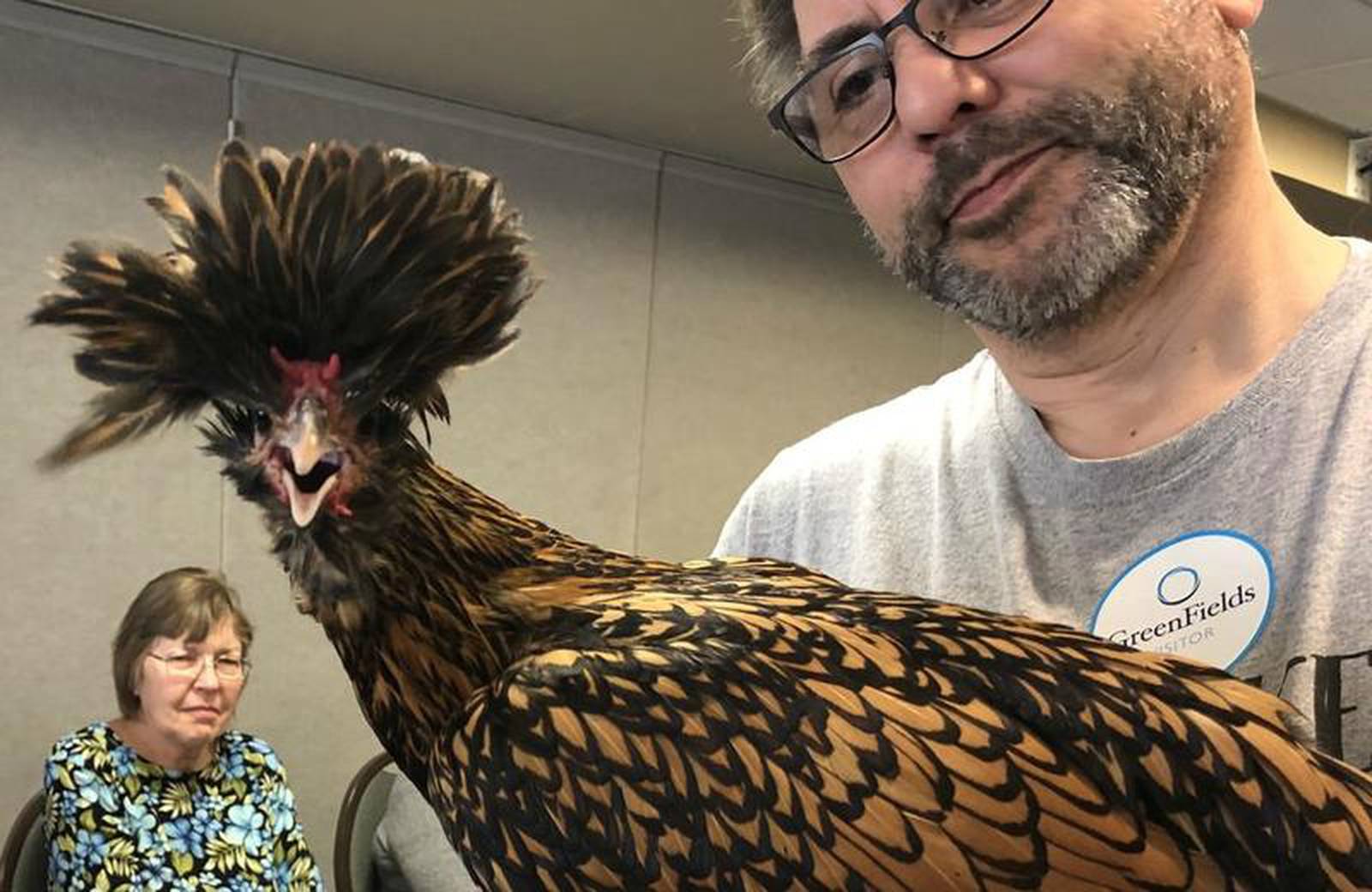 Therapy chickens visit Geneva senior living facility – Shaw Local
