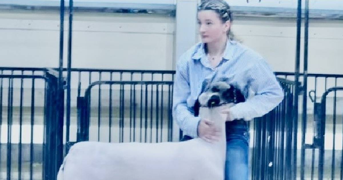 Princeton’s FFA Lydia Hardy, Payton Frueh earn summer hardware – Shaw Local