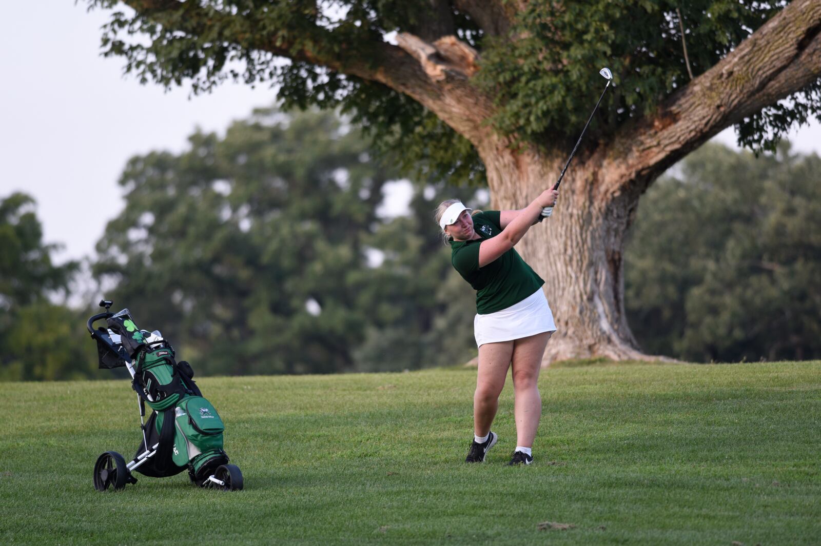 2025 Daily Journal Girls Golf All-Area Team – Shaw Local
