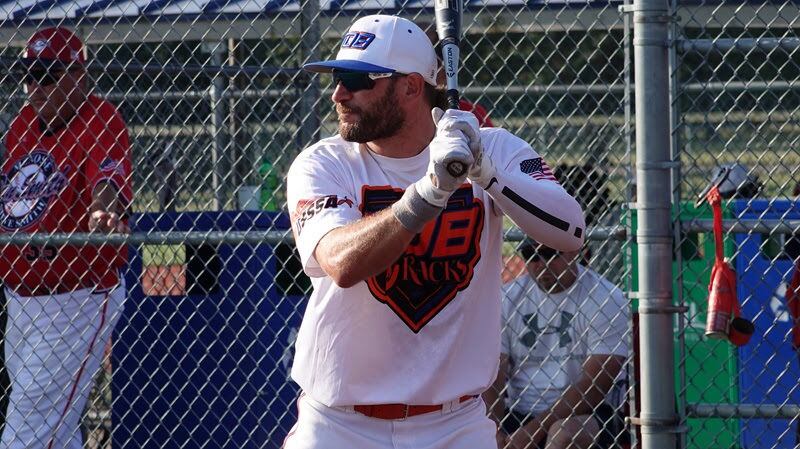 Kankakee resident Zirkle waiting as pro softball career put on hold ...