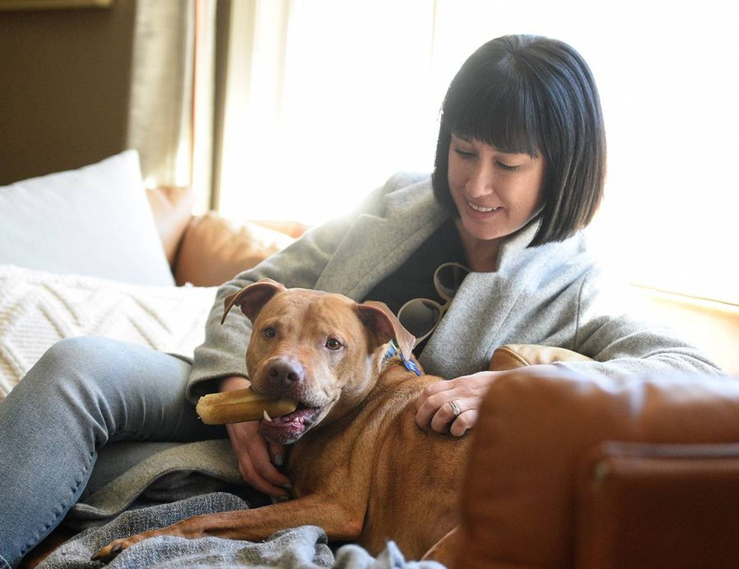 Furry checkouts: Anderson Humane’s Doggie Day Out allows you to take a ...