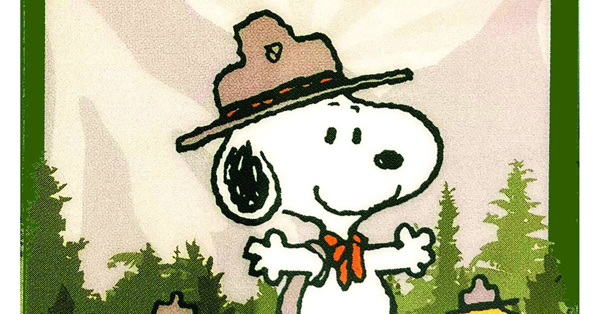 Princeton library offers Camp Snoopy library cards – Shaw Local