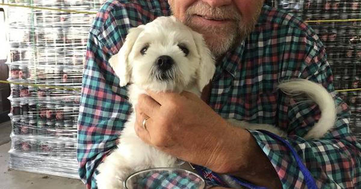 Dale M. Piercy – Shaw Local