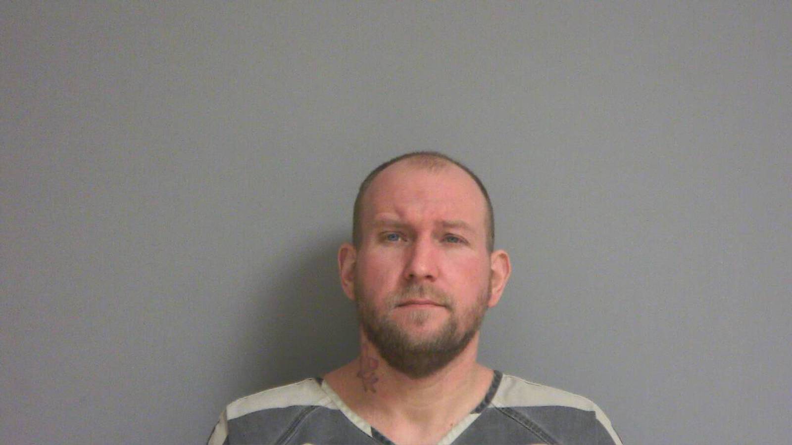 Ransom man gets 18 months for attacking dog – Shaw Local