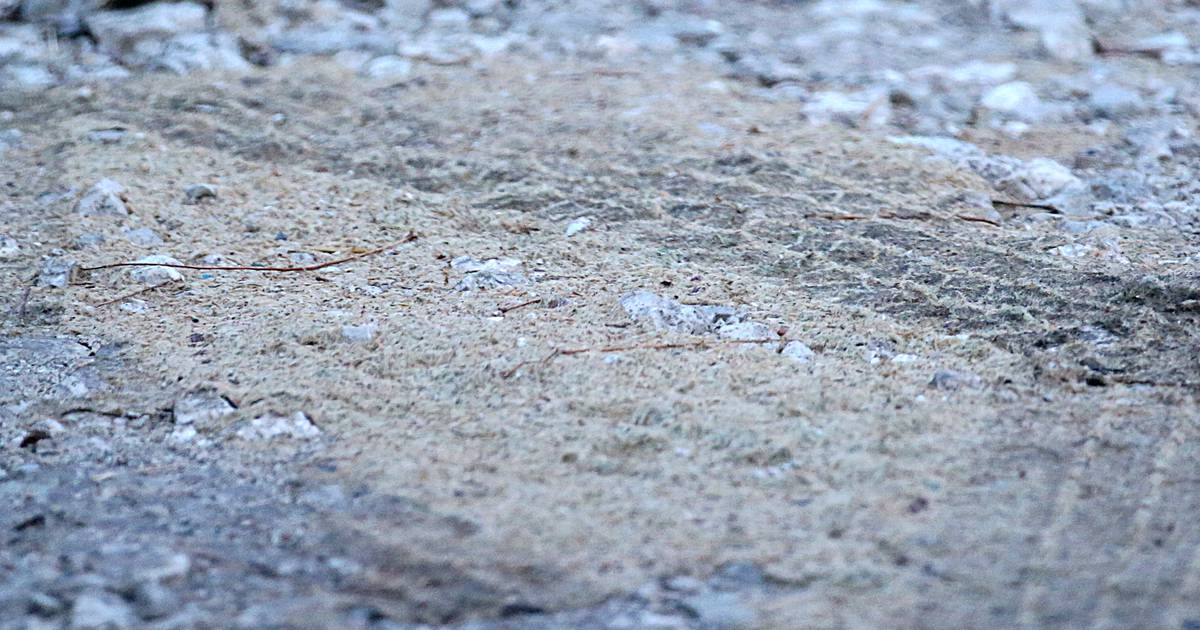 Homes of La Salle residents covered in ‘green’ substance from Carus ...