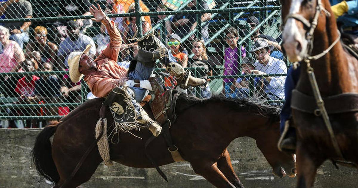Will County Fair opens Wednesday in Peotone – Shaw Local