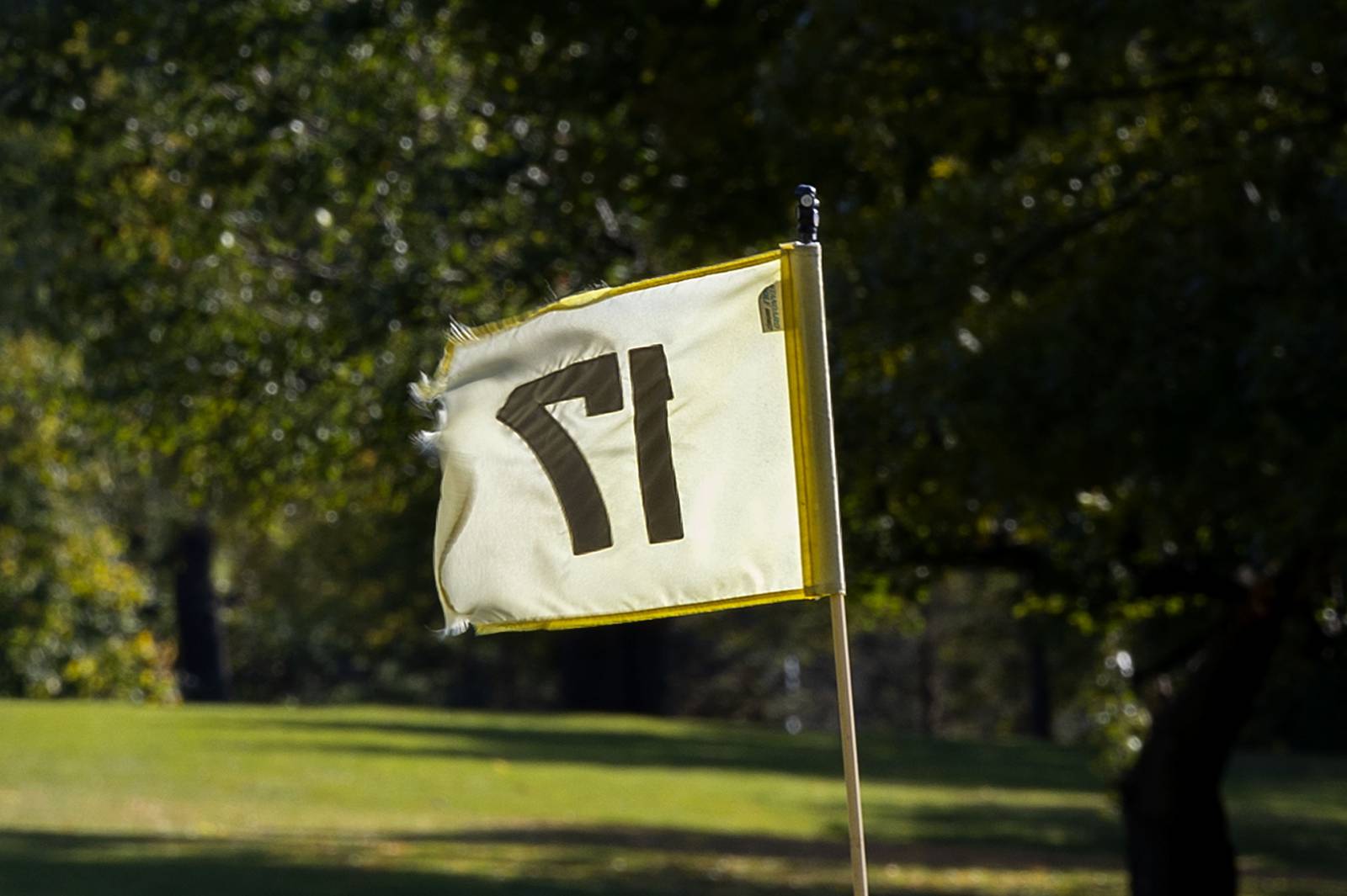 Transcript: Talk-Line with Steve Marco interviews Sue Ely on special ...