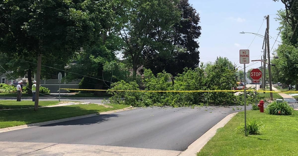 Tree topples in Huntley; road closed, 32 customers without power – Shaw ...